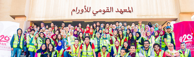 NCI | Misr International University